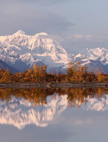 Denali National Park Month by Month: What to Expect When in Alaska