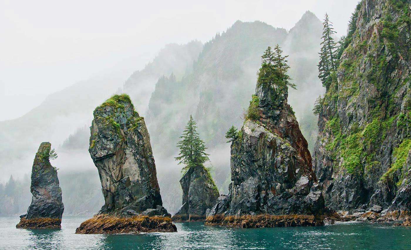 Kenai Fjords Wilderness Lodge Experience: Activities & Amenities