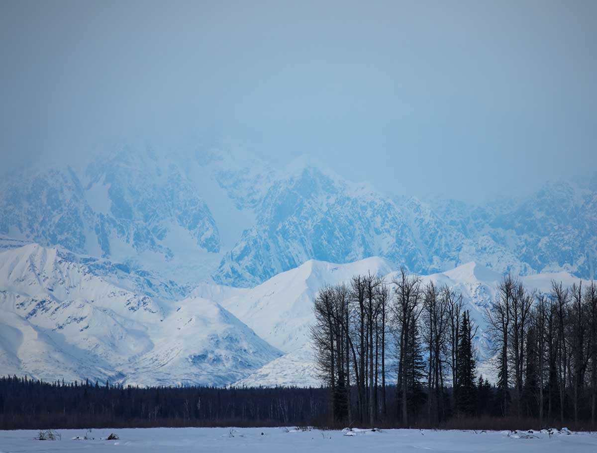 Winter At Talkeetna Alaskan Lodge Denali Northern Lights Views