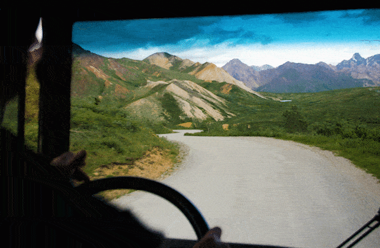 About Denali Backcountry Adventure Tour: Photograph Wild Alaska